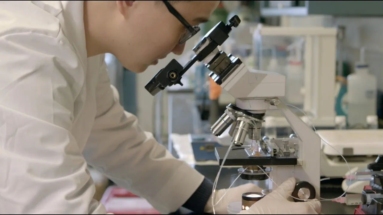 Going (Carbon) Negative | Columbia Engineering