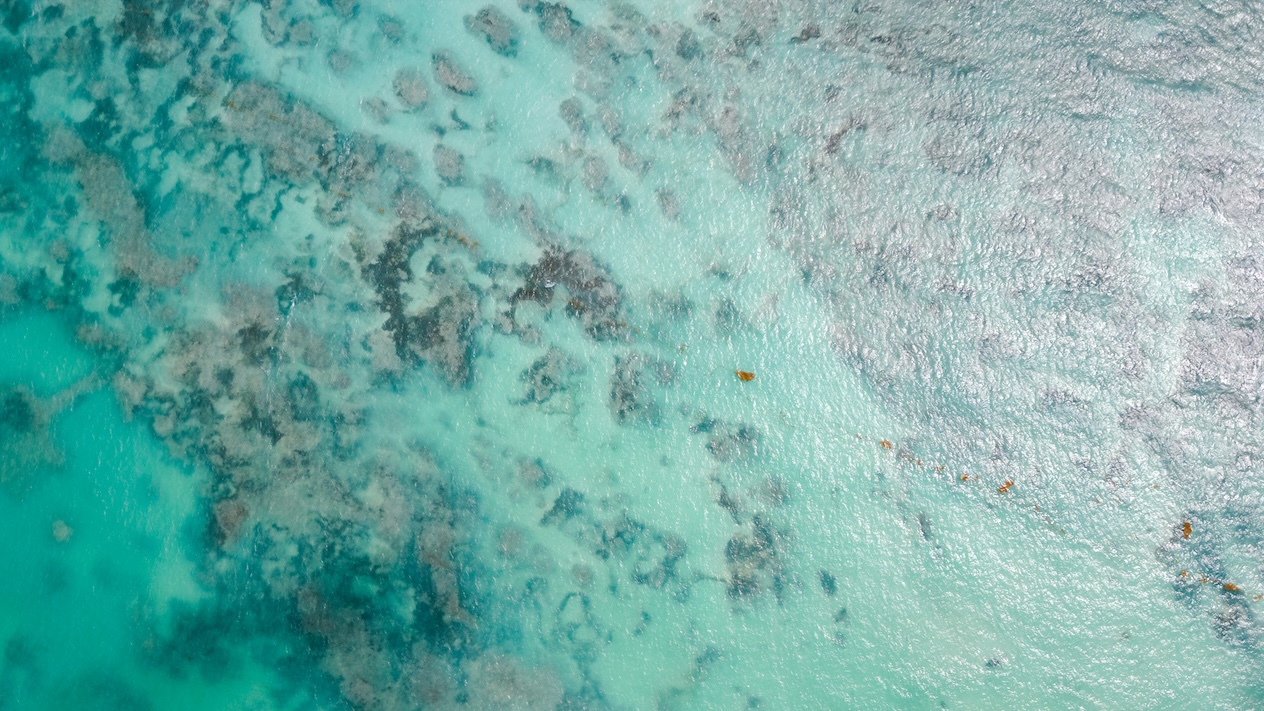 Earth and Environmental Engineering, MS | Columbia Engineering