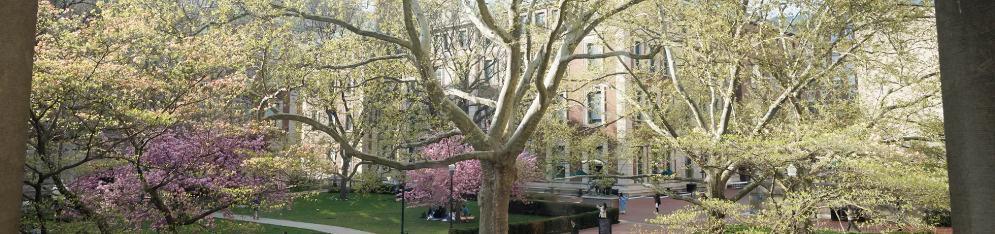 Departments | Columbia Engineering