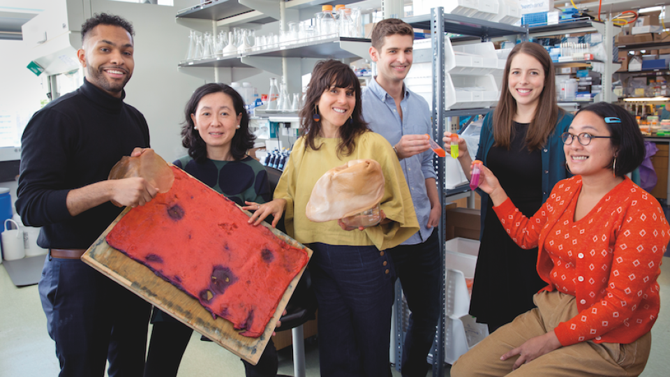 Helen Lu, Allie Obermeyer, and Theanne Schiros Published in Chem’s UN ...
