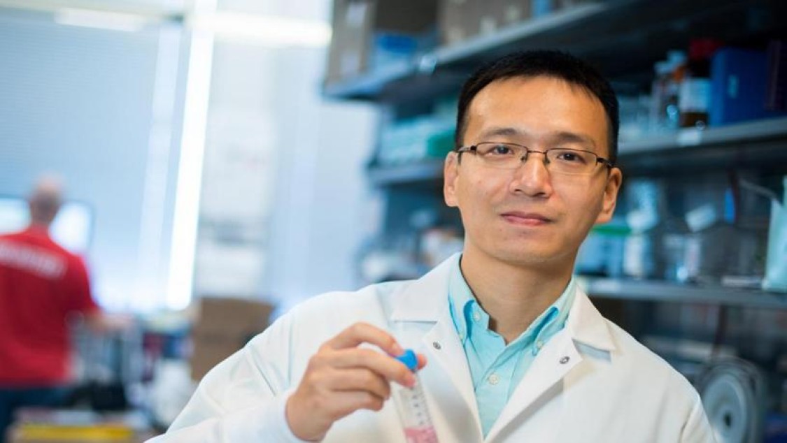 Faculty Appointed to Named Professorships | Columbia Engineering